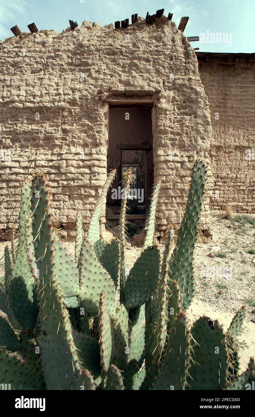 A cactus reaches upward outside the weathered adobe Mission del Sagrado ...