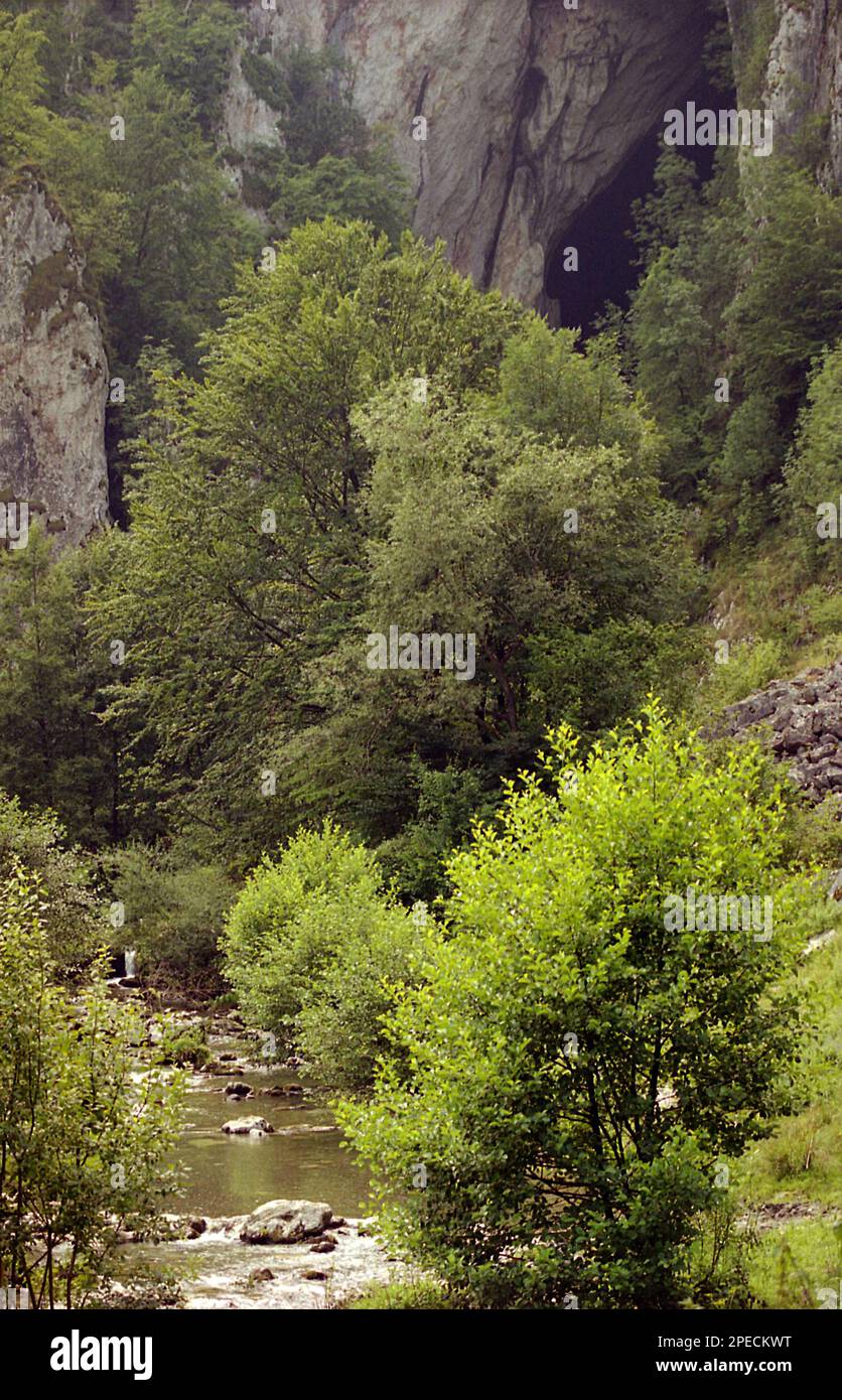 Entrance to Huda lui Papară cave in Trascau Mountains, Romania, 2001 ...