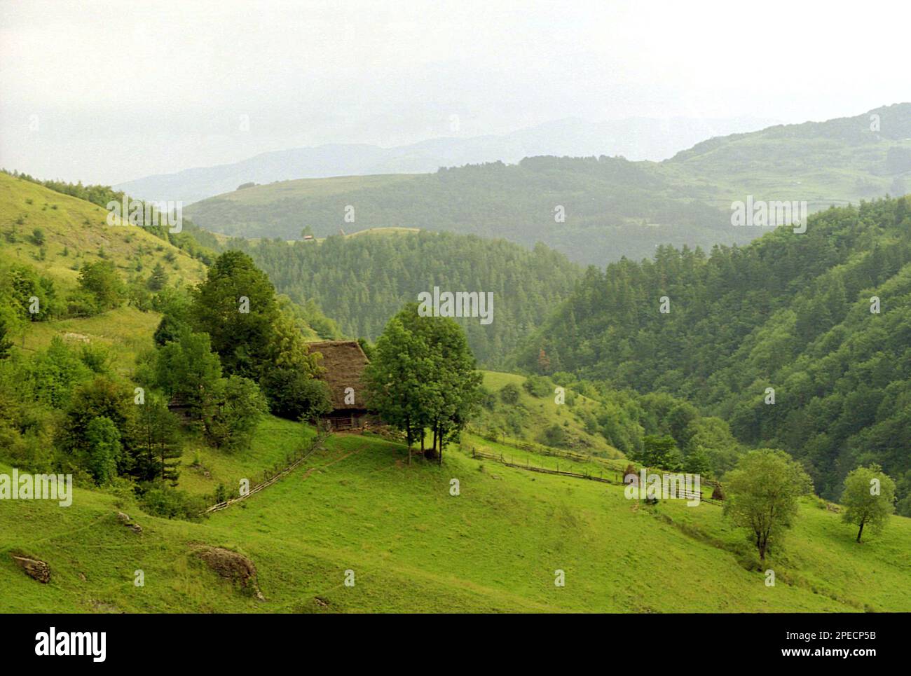 Alba County, Romania, 2001. Summer landscape in the Apuseni Mountains ...