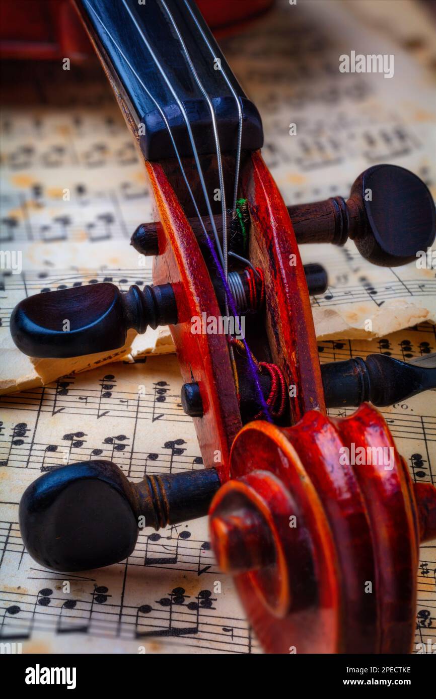 Violin Scroll Close Up Still Life Stock Photo - Alamy