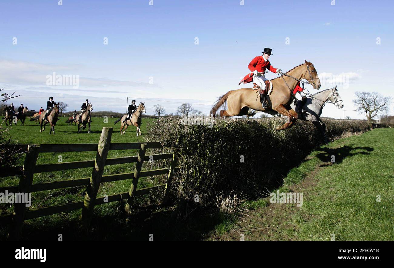 Huntsmen jump a hedge whilst exercising a pack of hounds near Tiverton ...