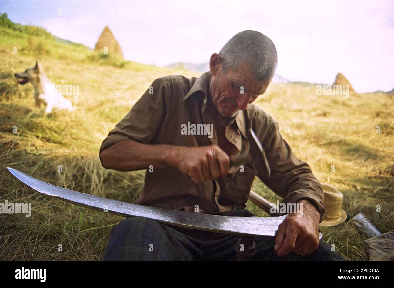 Sub Piatră, Alba County, Romania, 2001. Local elderly man sharpening ...