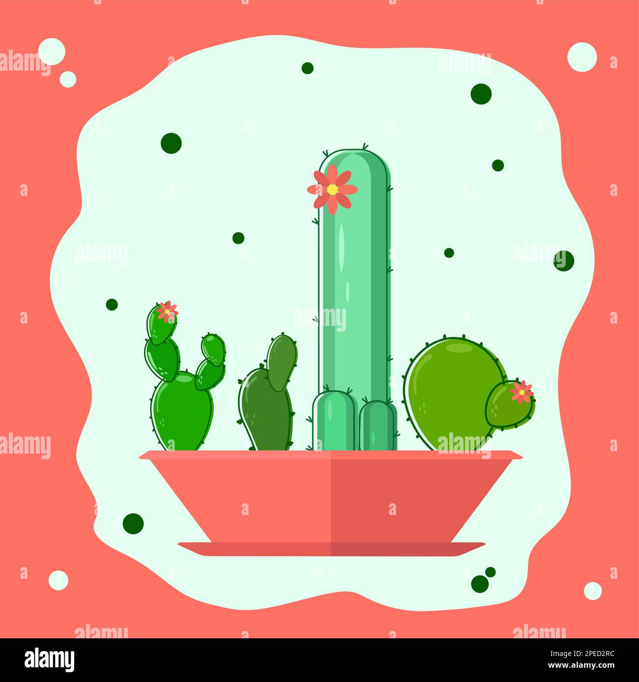 Cactus botanical garden Stock Vector Images - Alamy