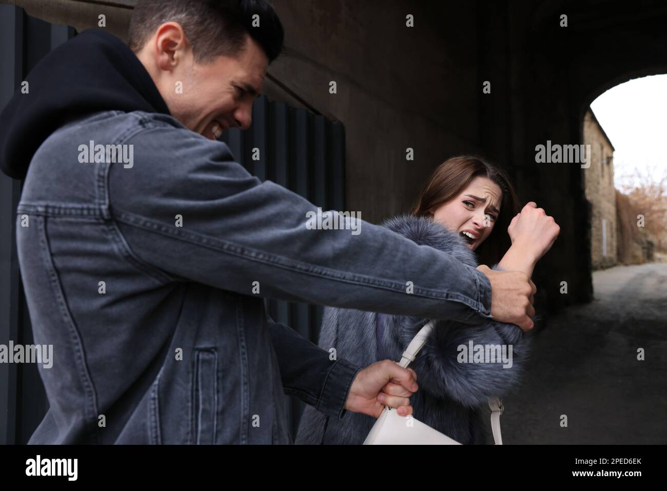 Thief trying to steal woman's bag in alley. Self defense concept Stock ...