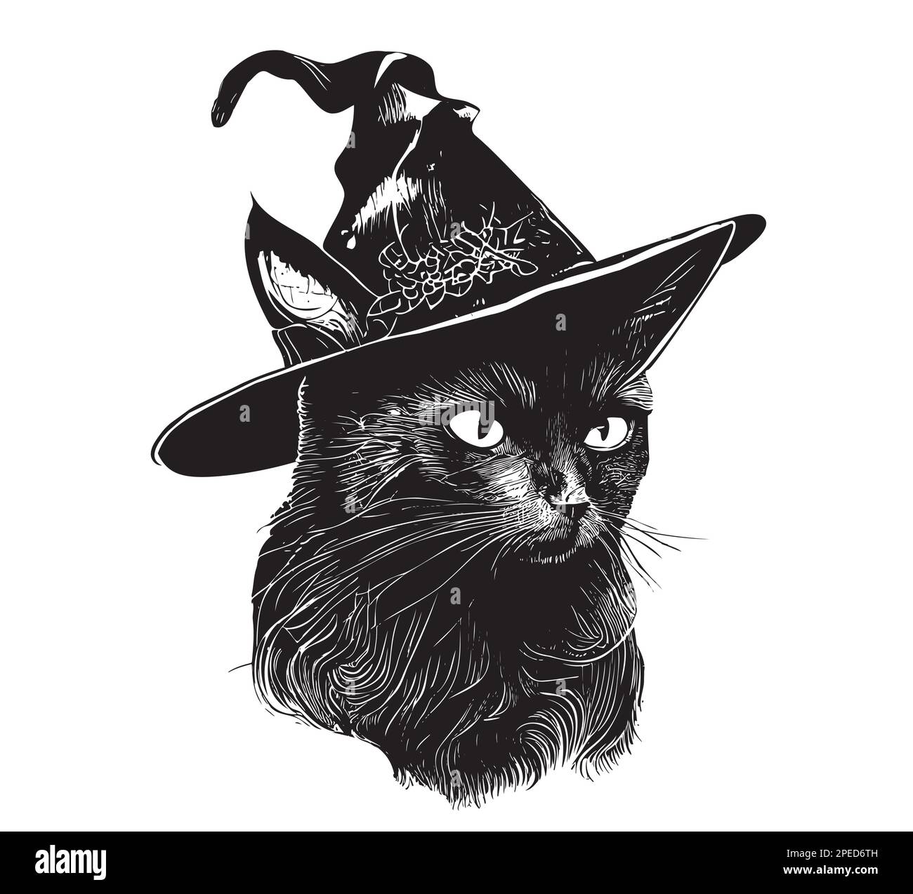 Witch and black cat Black and White Stock Photos & Images - Alamy