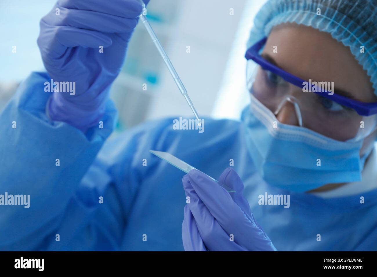 Scientist dripping sample onto glass slide in laboratory, focus on ...