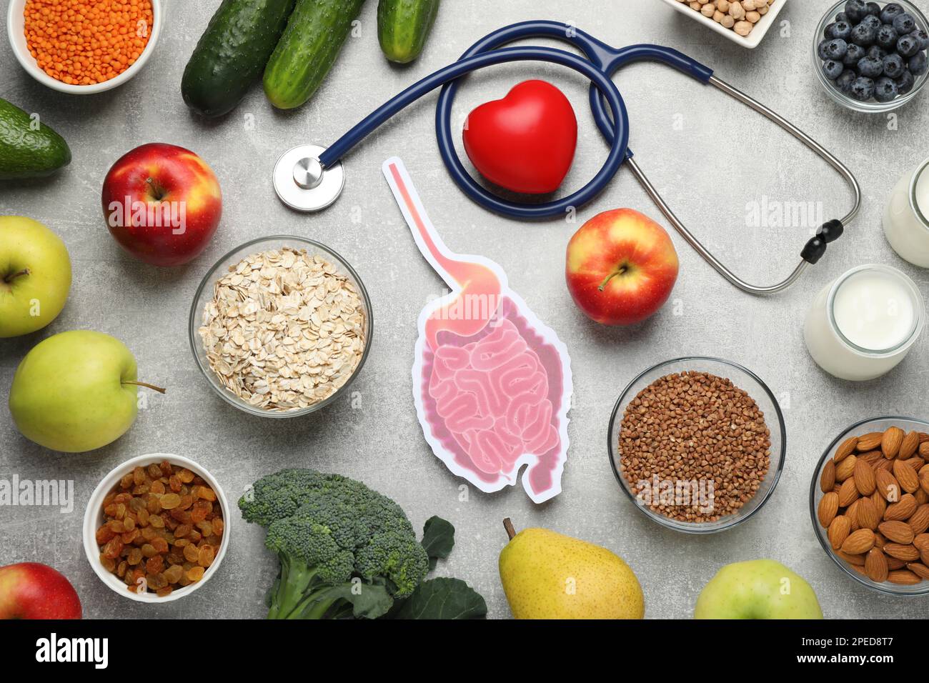 Paper gastrointestinal tract cutout, stethoscope and different organic ...