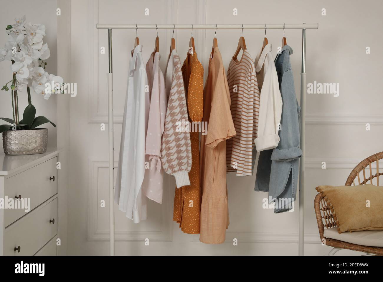 Modern dressing room interior with stylish clothes and beautiful orchid ...