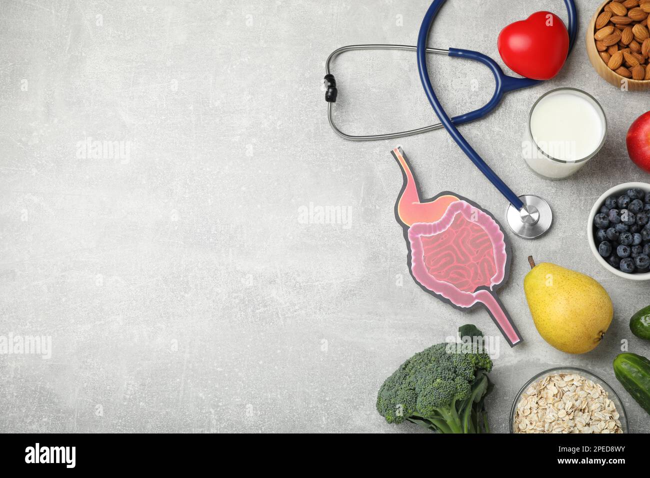 Paper gastrointestinal tract cutout, stethoscope and different organic ...