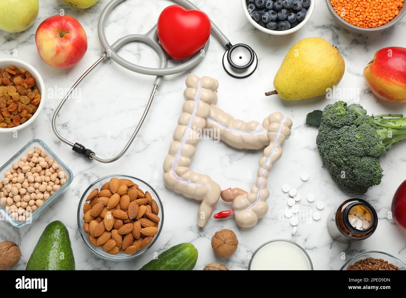 Anatomical model of large intestine, stethoscope, pills and different ...