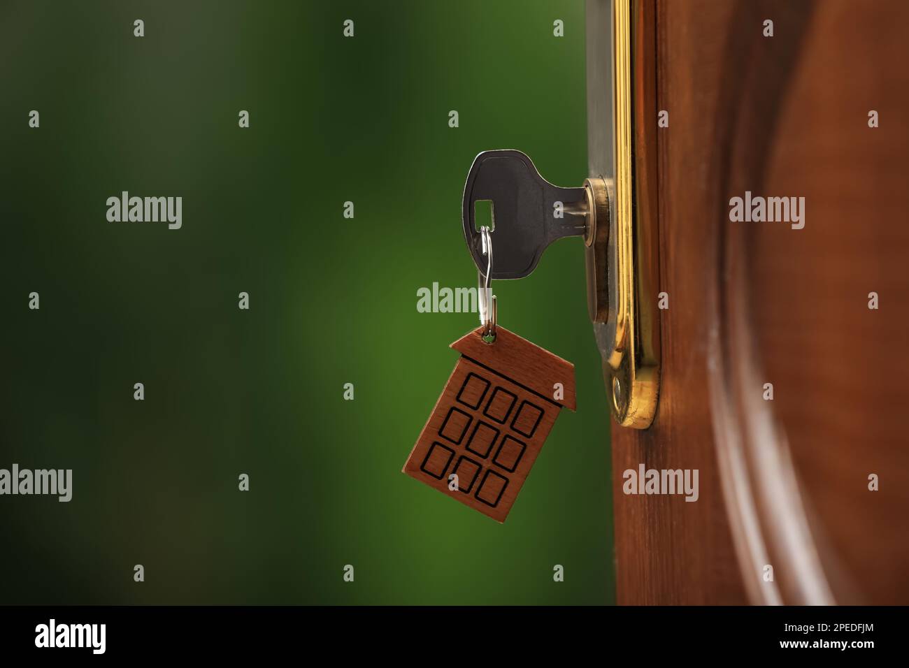 Open door with key on blurred green background, closeup. Space for text ...