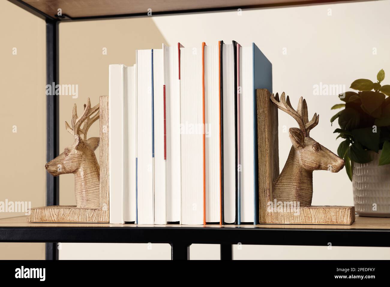Organised home book shelf hi-res stock photography and images - Alamy