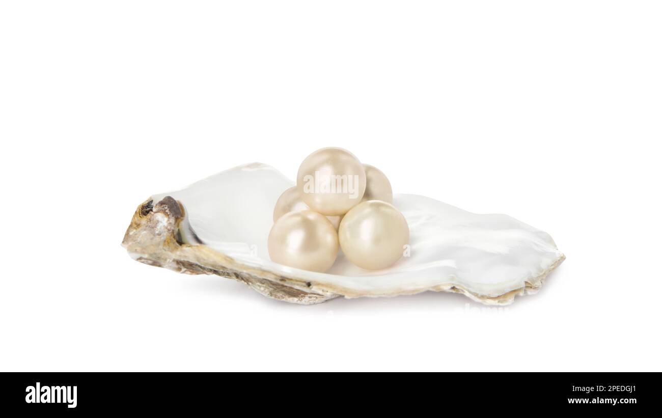 Oyster shell with pearls on white background Stock Photo - Alamy