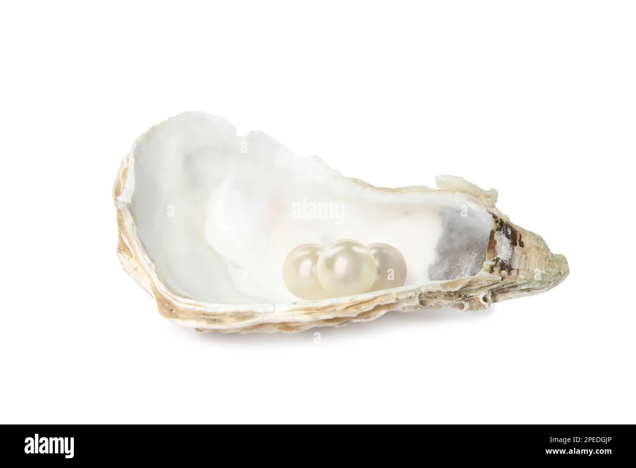 Oyster shell with pearls on white background Stock Photo - Alamy
