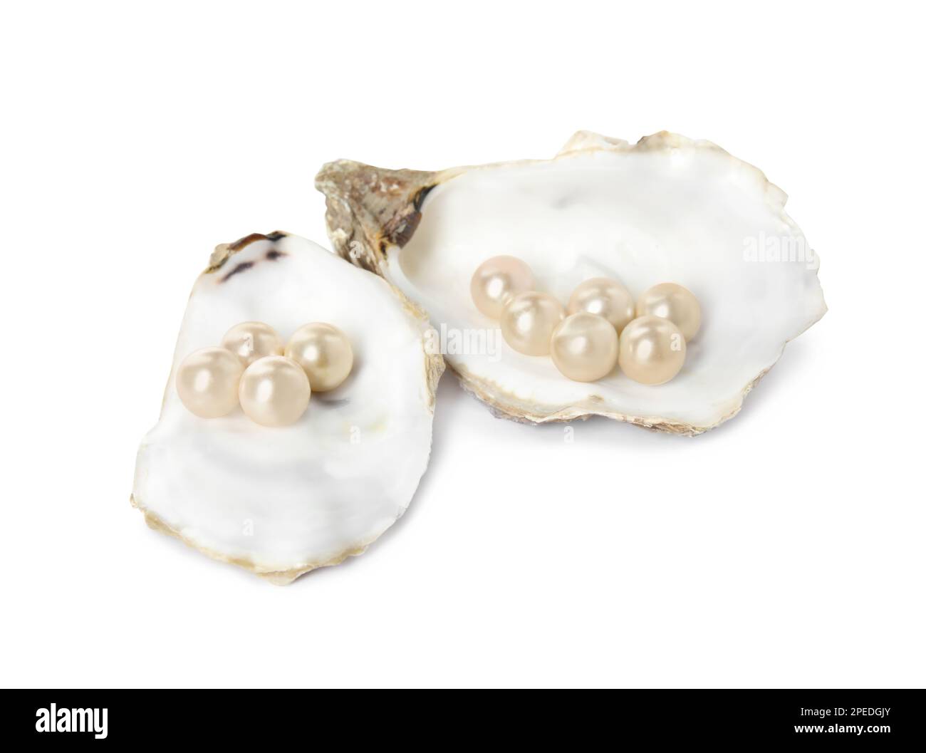 Oyster shells with pearls on white background Stock Photo - Alamy