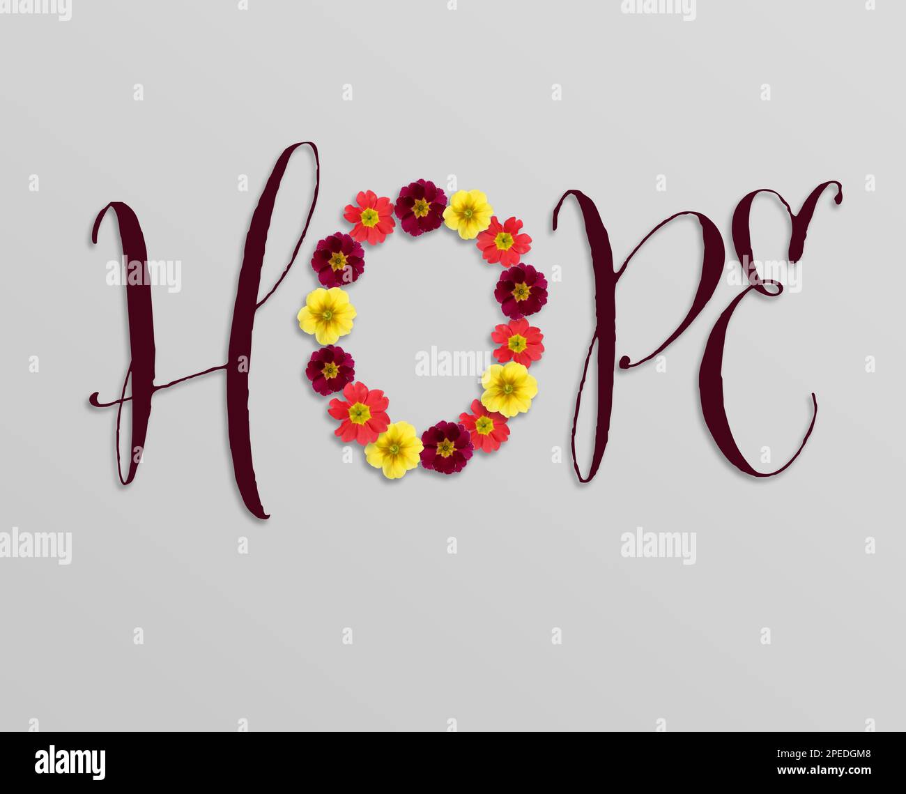 Word HOPE made with letters and beautiful flowers on light grey ...