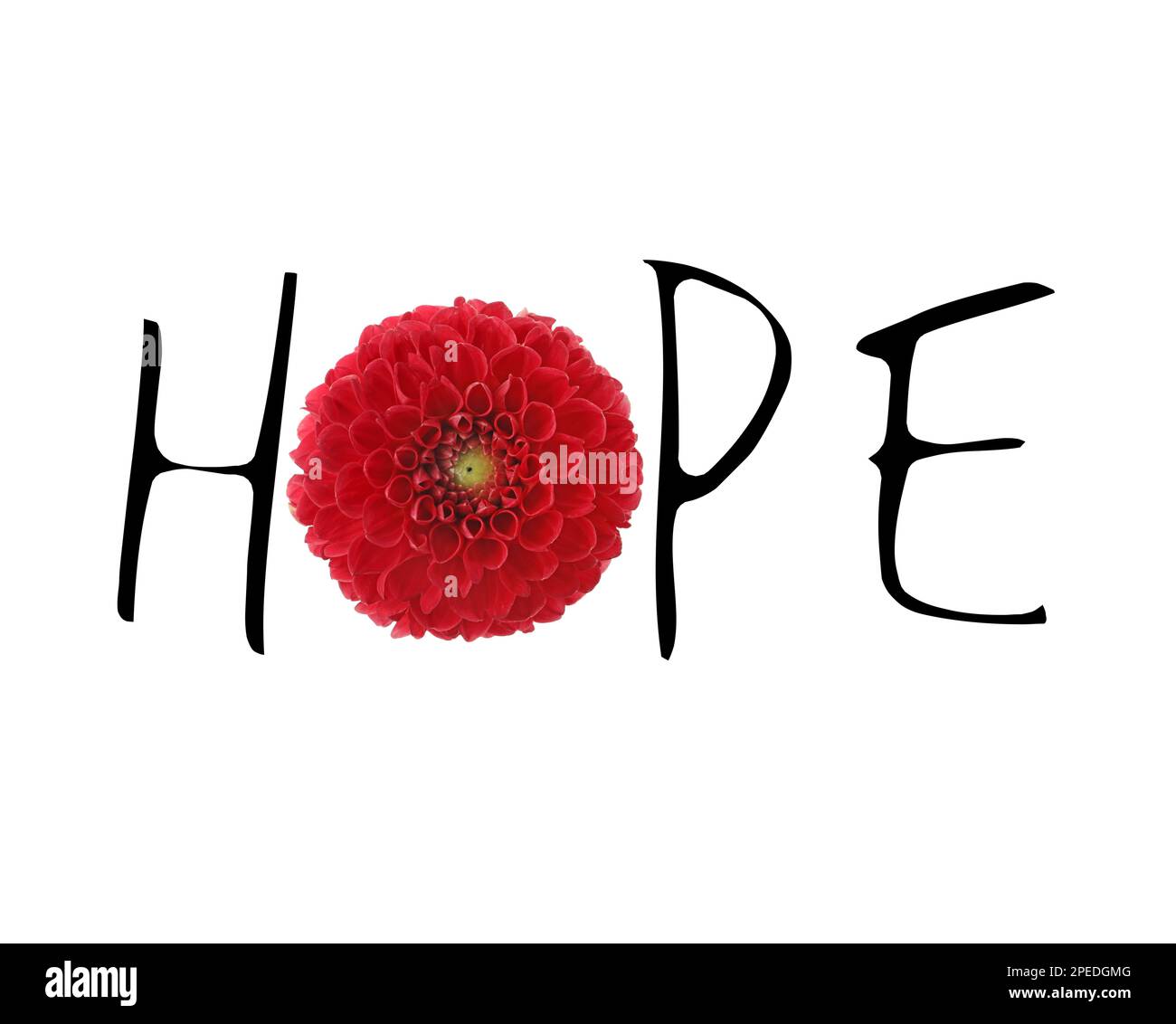 Wildflower letters Cut Out Stock Images & Pictures - Alamy