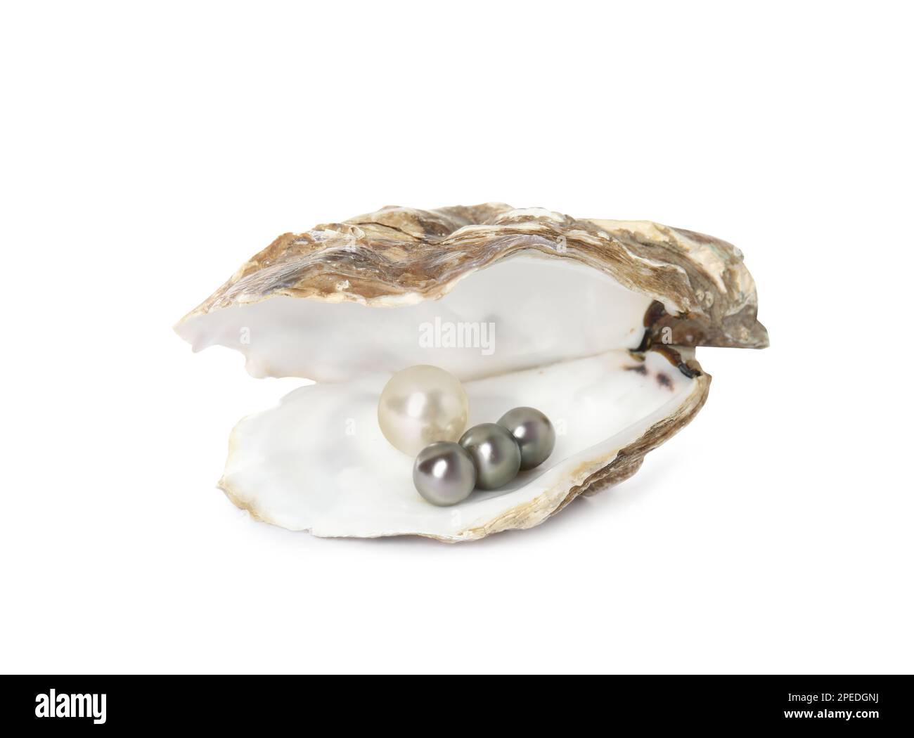 Open oyster shell with different pearls on white background Stock Photo ...