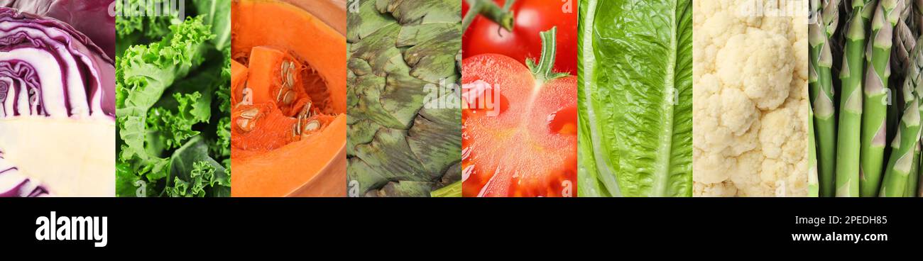 Collage with different fresh ripe vegetables. Banner design Stock Photo ...