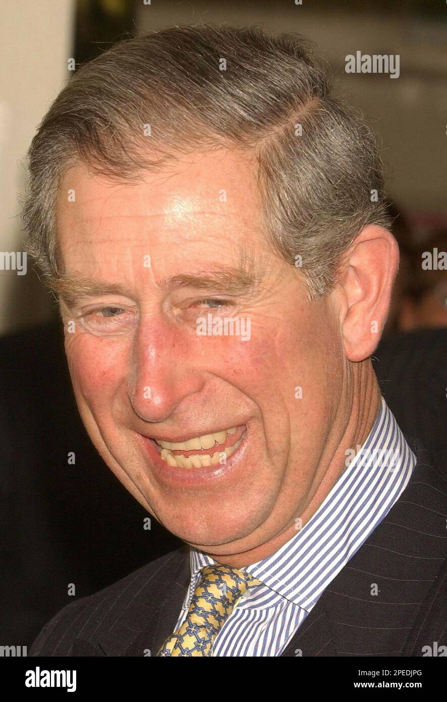 Britain's Prince Charles smiles as staff at Goldsmith's Hall in the ...