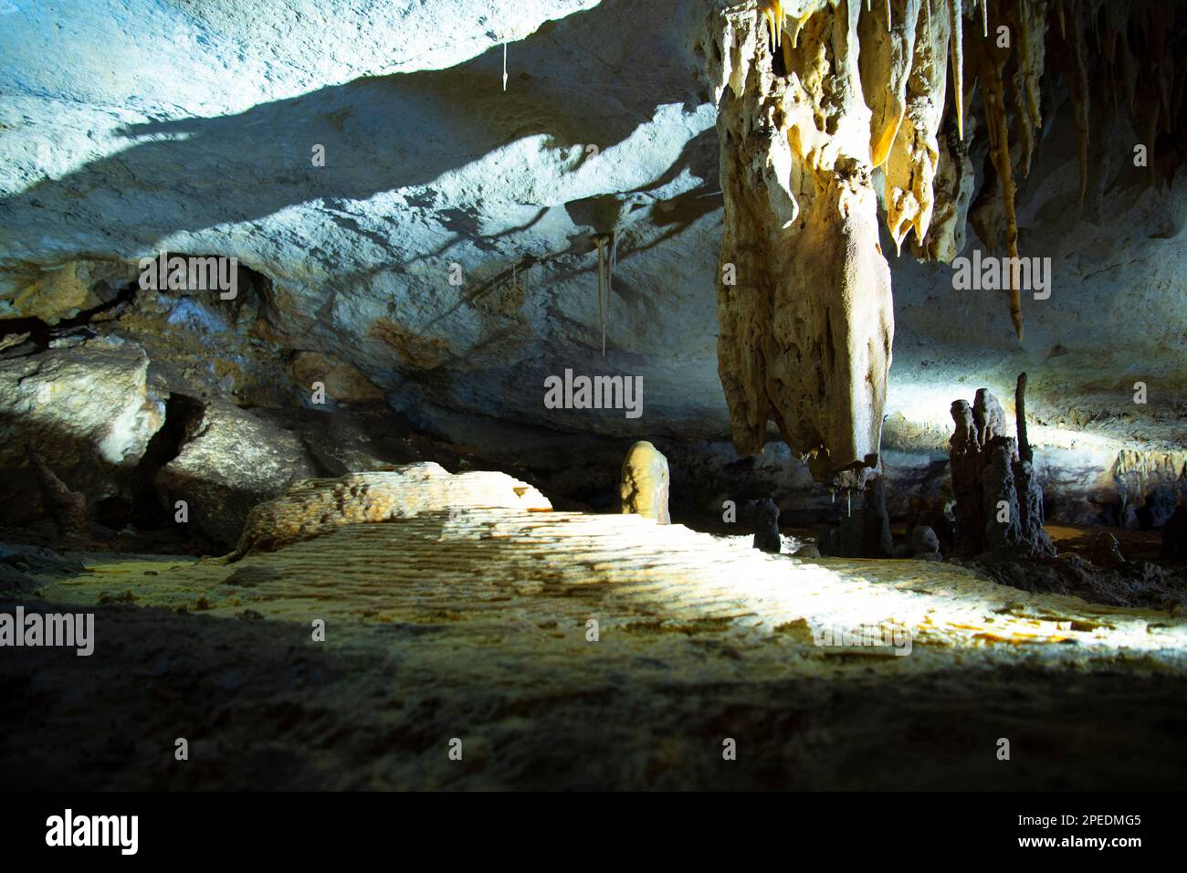 Alexandra Cave in Naracoorte - Australia Stock Photo - Alamy