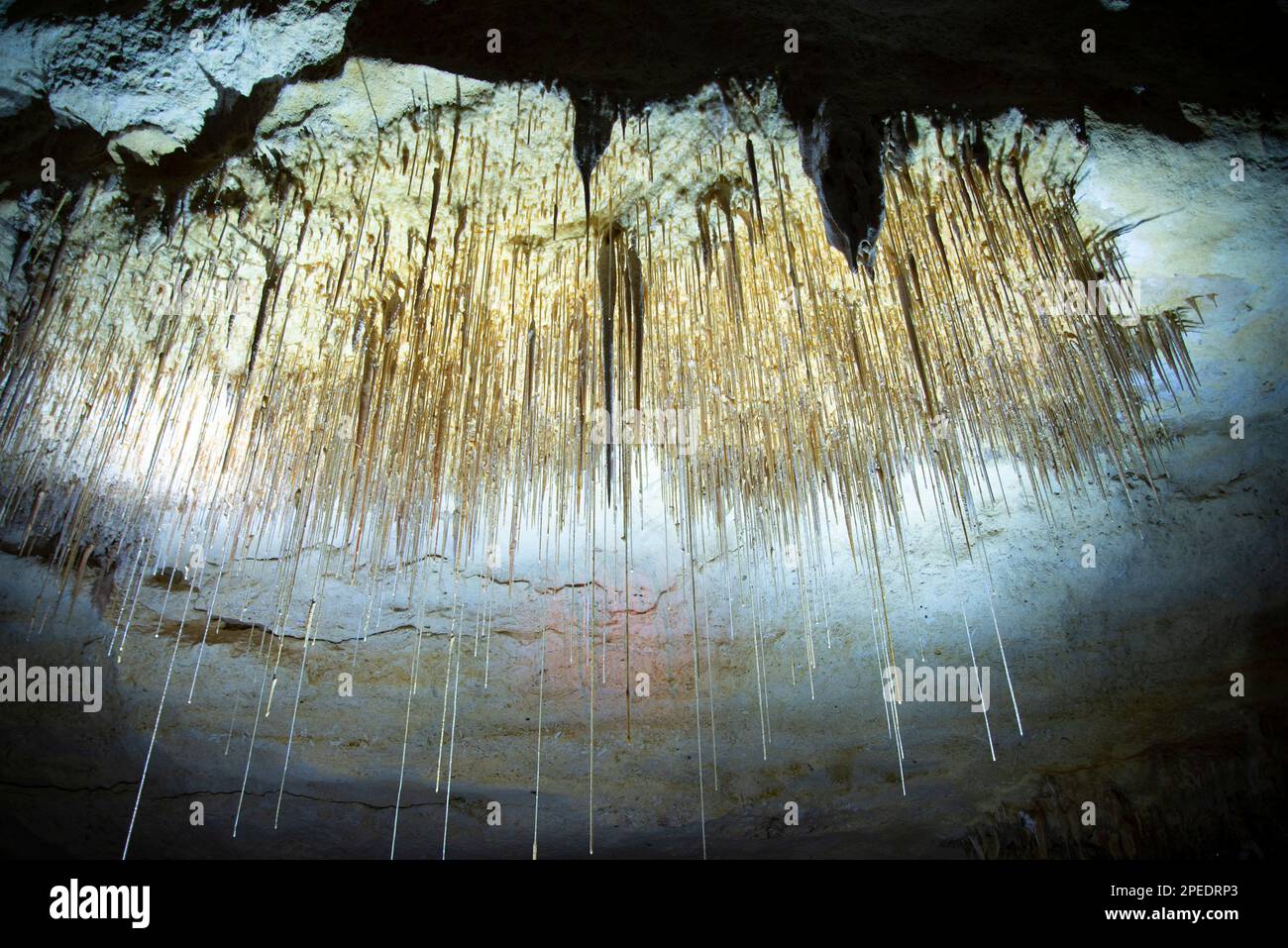 Alexandra Cave in Naracoorte - Australia Stock Photo - Alamy