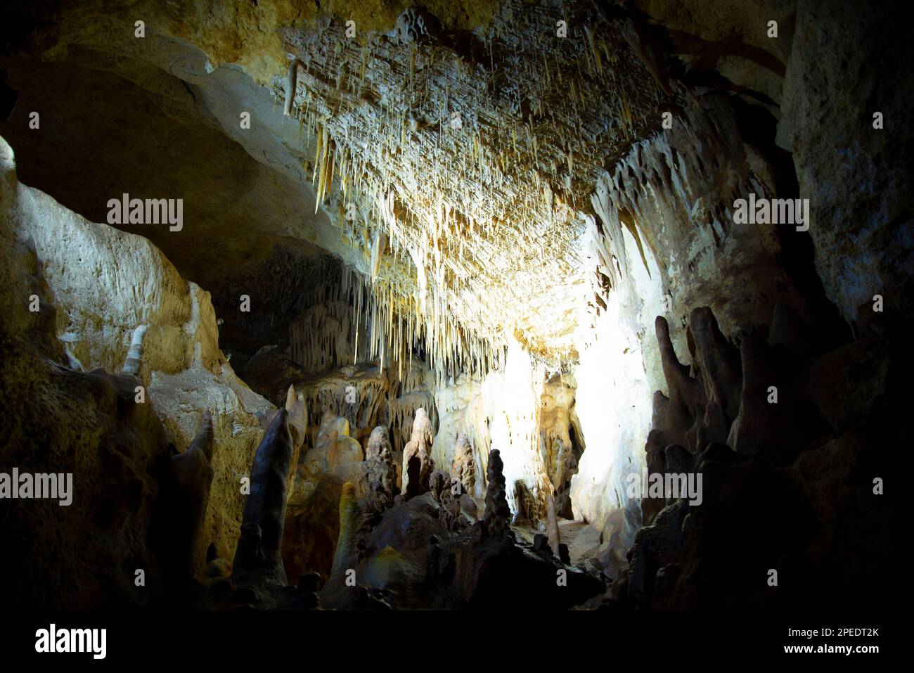 Alexandra Cave in Naracoorte - Australia Stock Photo - Alamy