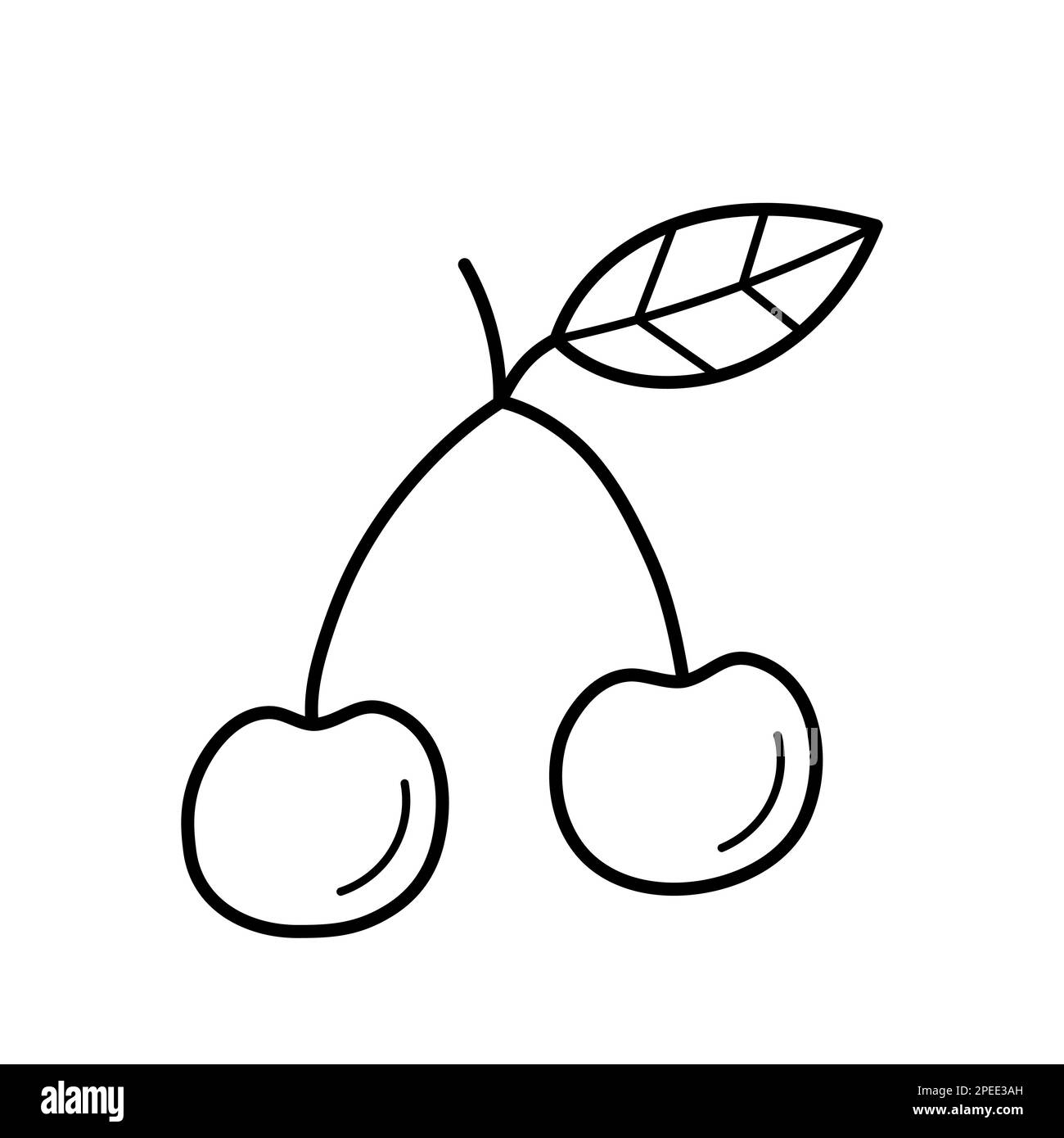 Cherry. Hand drawn sketch icon of fruit. Isolated vector illustration ...