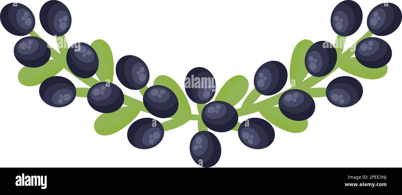 olive branch illustration Stock Vector Image & Art - Alamy