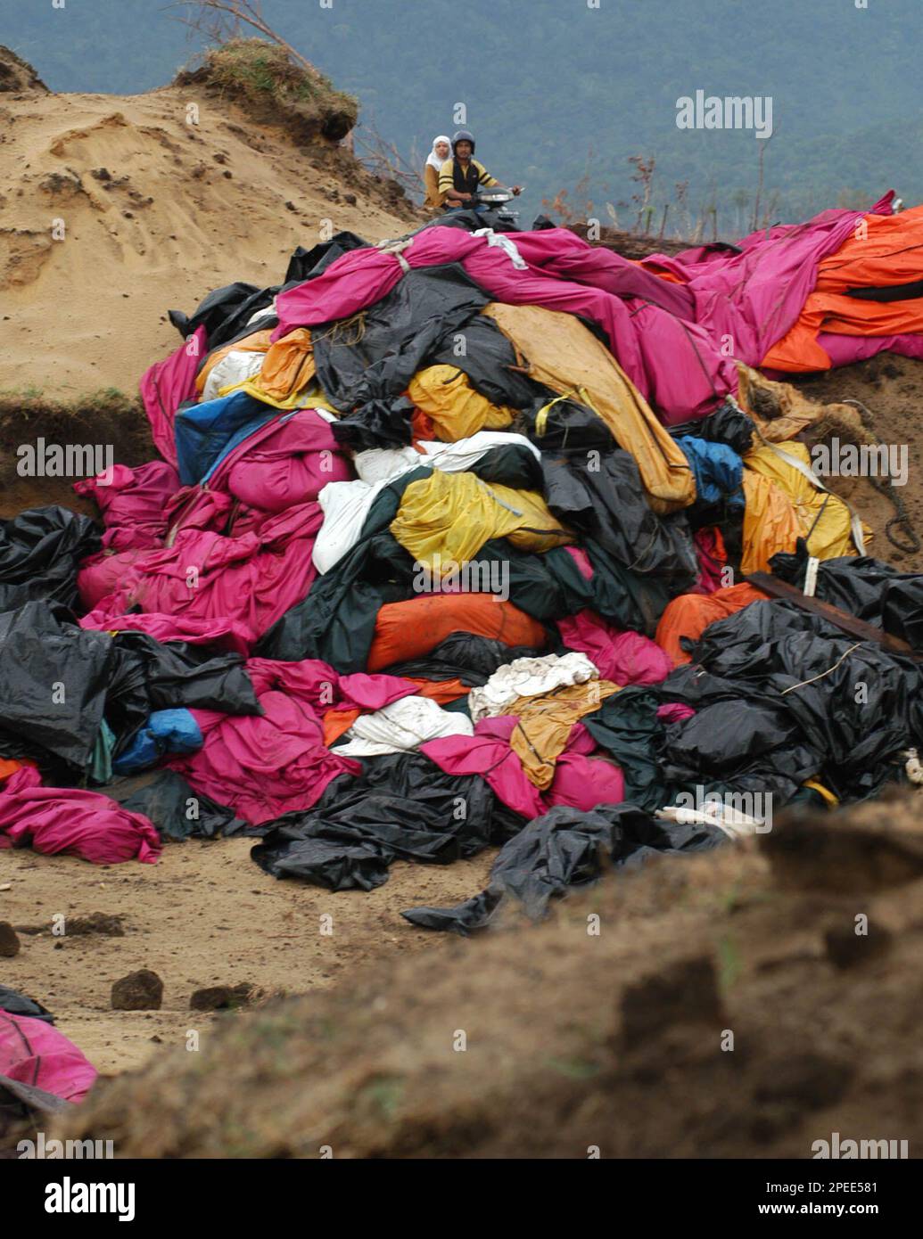 Tsunami Debris Bodies