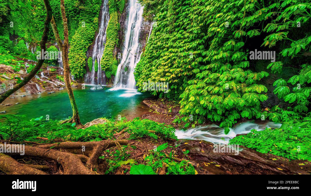 Banyumala waterfall in bali hi-res stock photography and images - Alamy