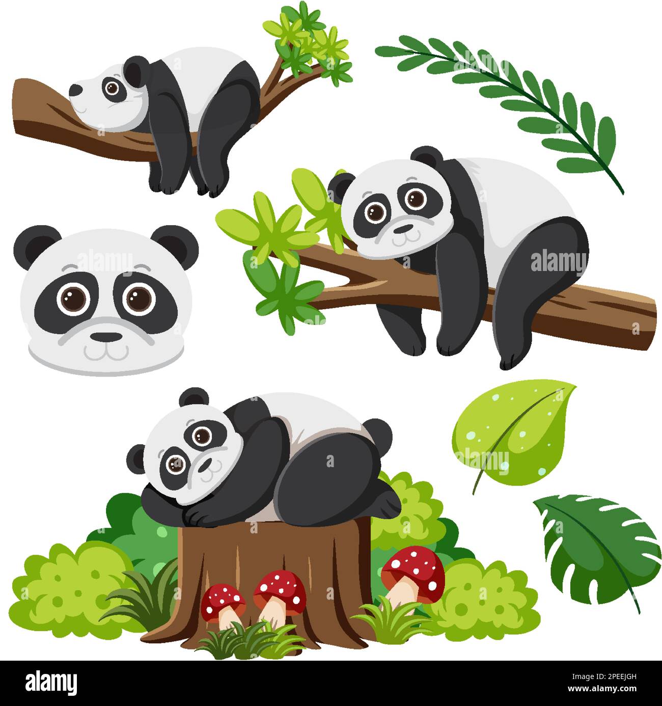 Set of panda cartoon character illustration Stock Vector Image & Art ...
