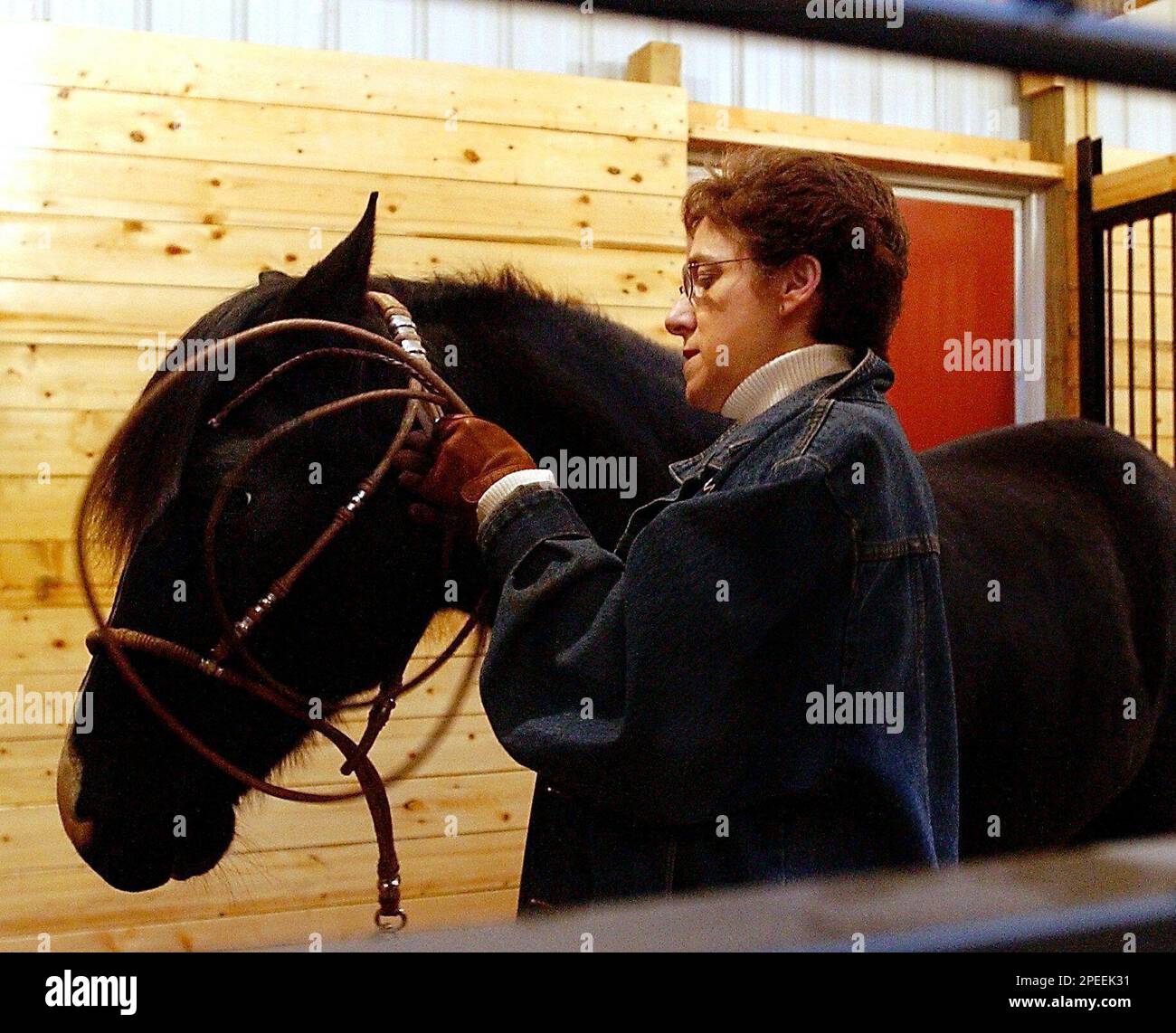 ** ADVANCE FOR WEEKEND OF JAN. 29-30 ** Darla Austin puts a bridle on a ...