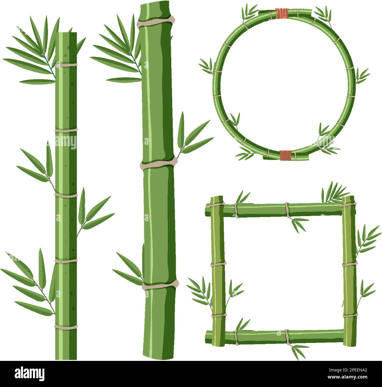 Mix set of bamboo illustration Stock Vector Image & Art - Alamy