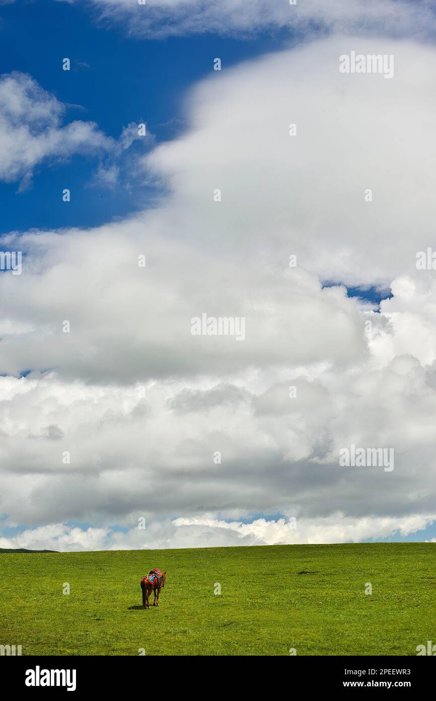 Kalajun prairie hi-res stock photography and images - Alamy
