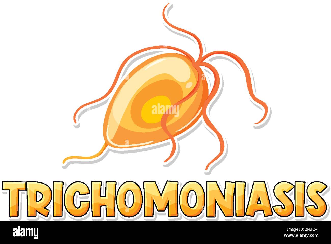 Trichomonas vaginalis (a protozoan parasite) illustration Stock Vector ...