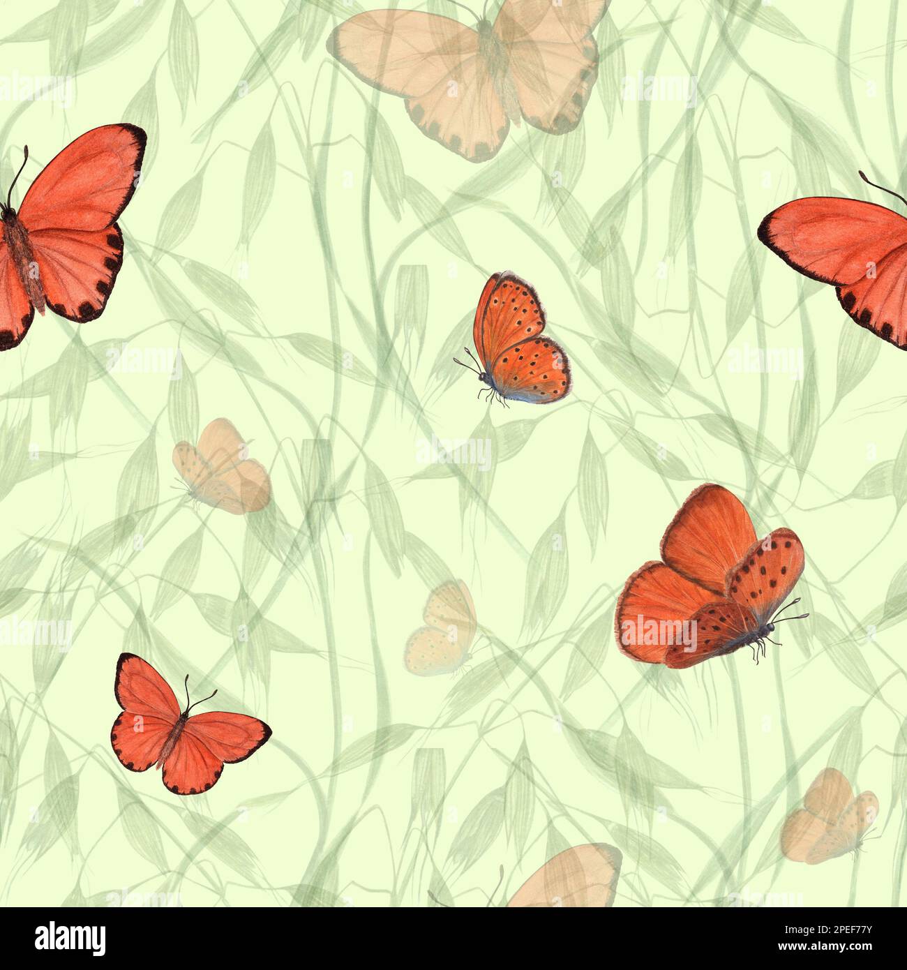 Orange butterfly clipart hi-res stock photography and images - Alamy