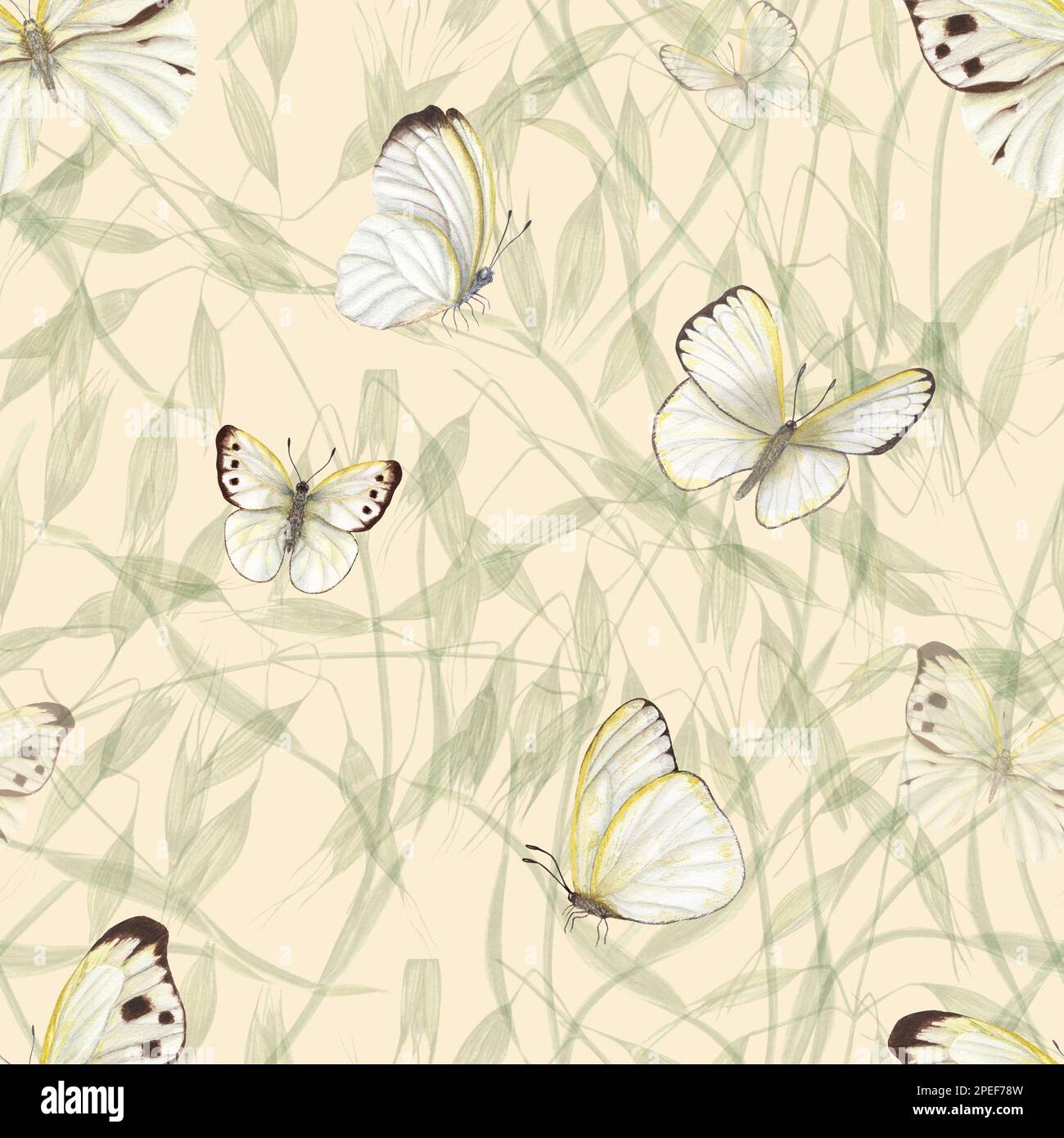 Watercolor seamless pattern of flying white butterflies isolated on ...