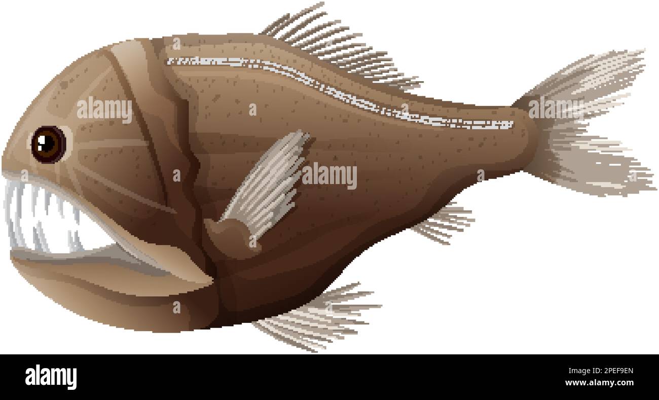 Deep sea creatures fangtooth fish illustration Stock Vector Image & Art ...