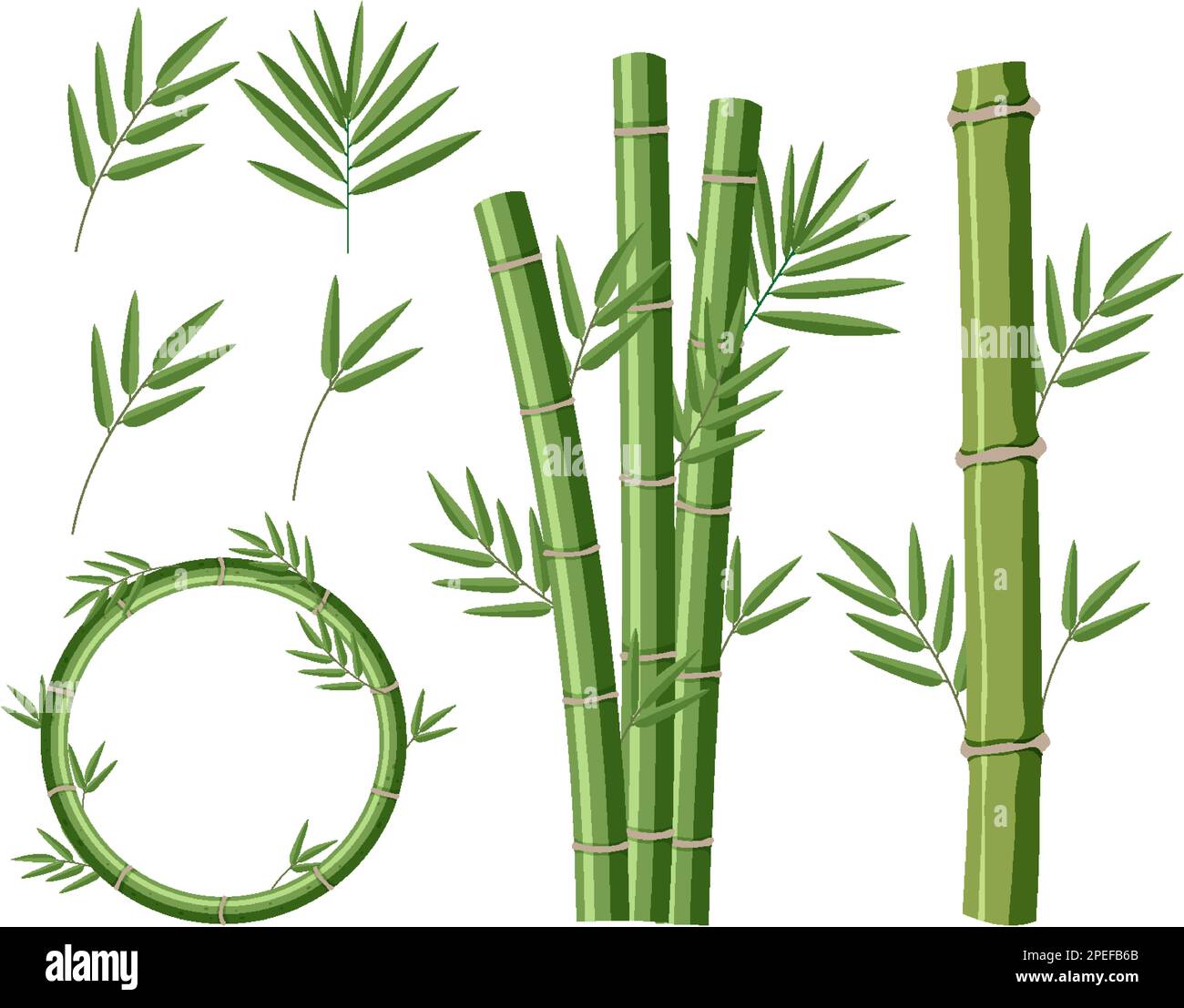 Mix set of bamboo illustration Stock Vector Image & Art - Alamy