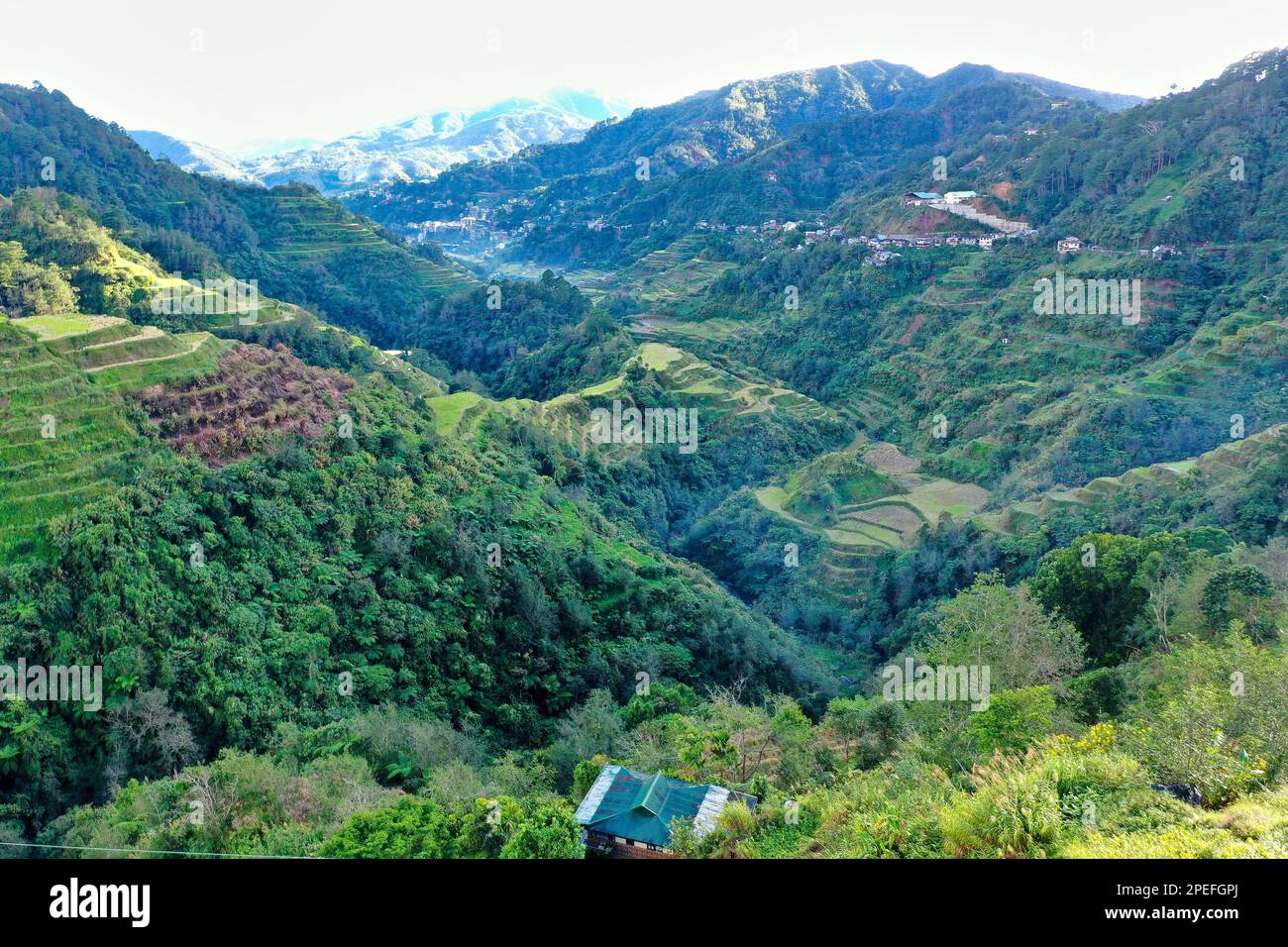Panorama drone shot over rice terraces of Banaue in Philippines on ...