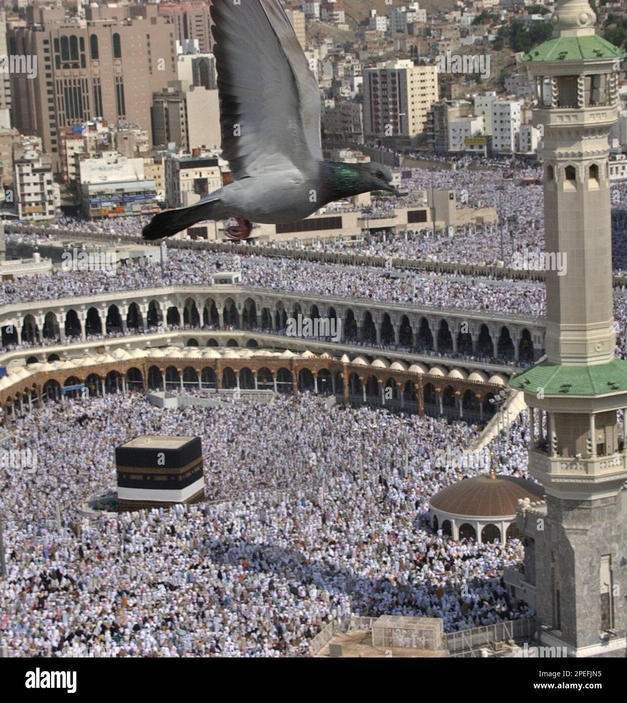A pigeon flies over the great mosque in Mecca as hundreds of thousands ...
