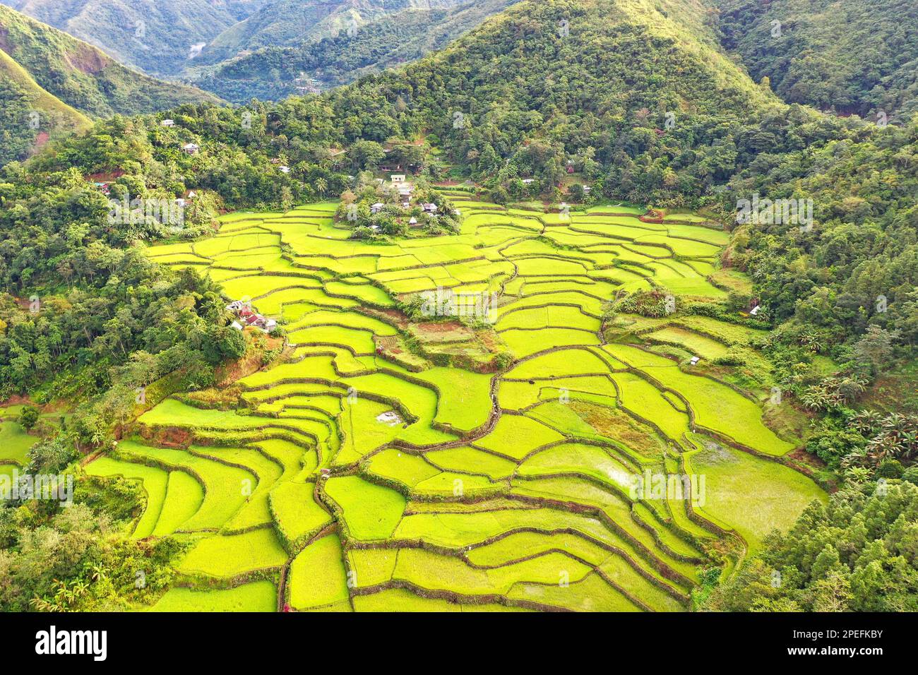 Panorama drone shot over the rice terraces of Banaue in the Philippines ...