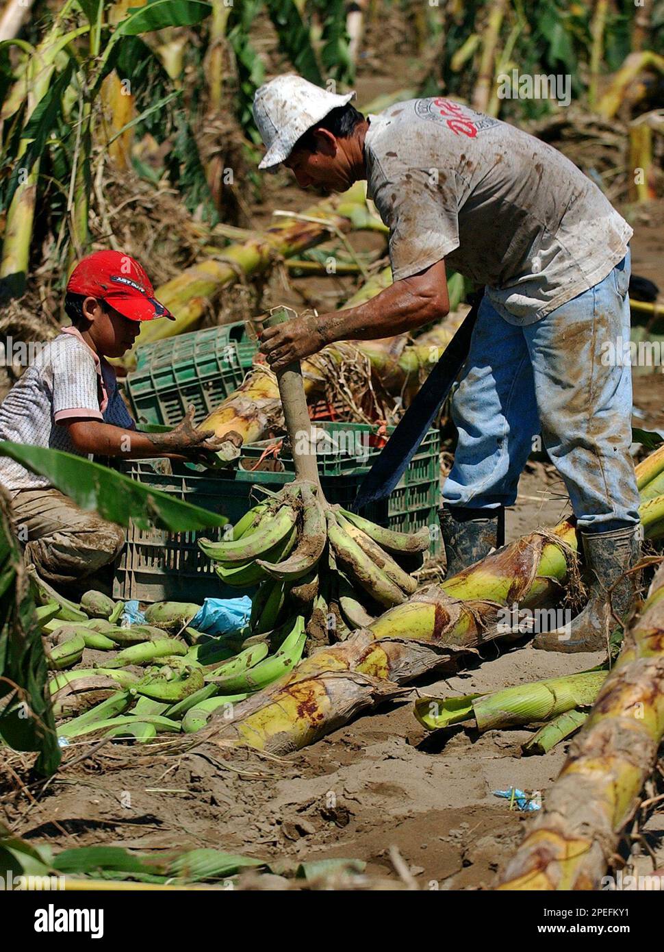 Costa Ricans Freddy Ortiz, left, 12, and Jose Angel Rios try to save ...
