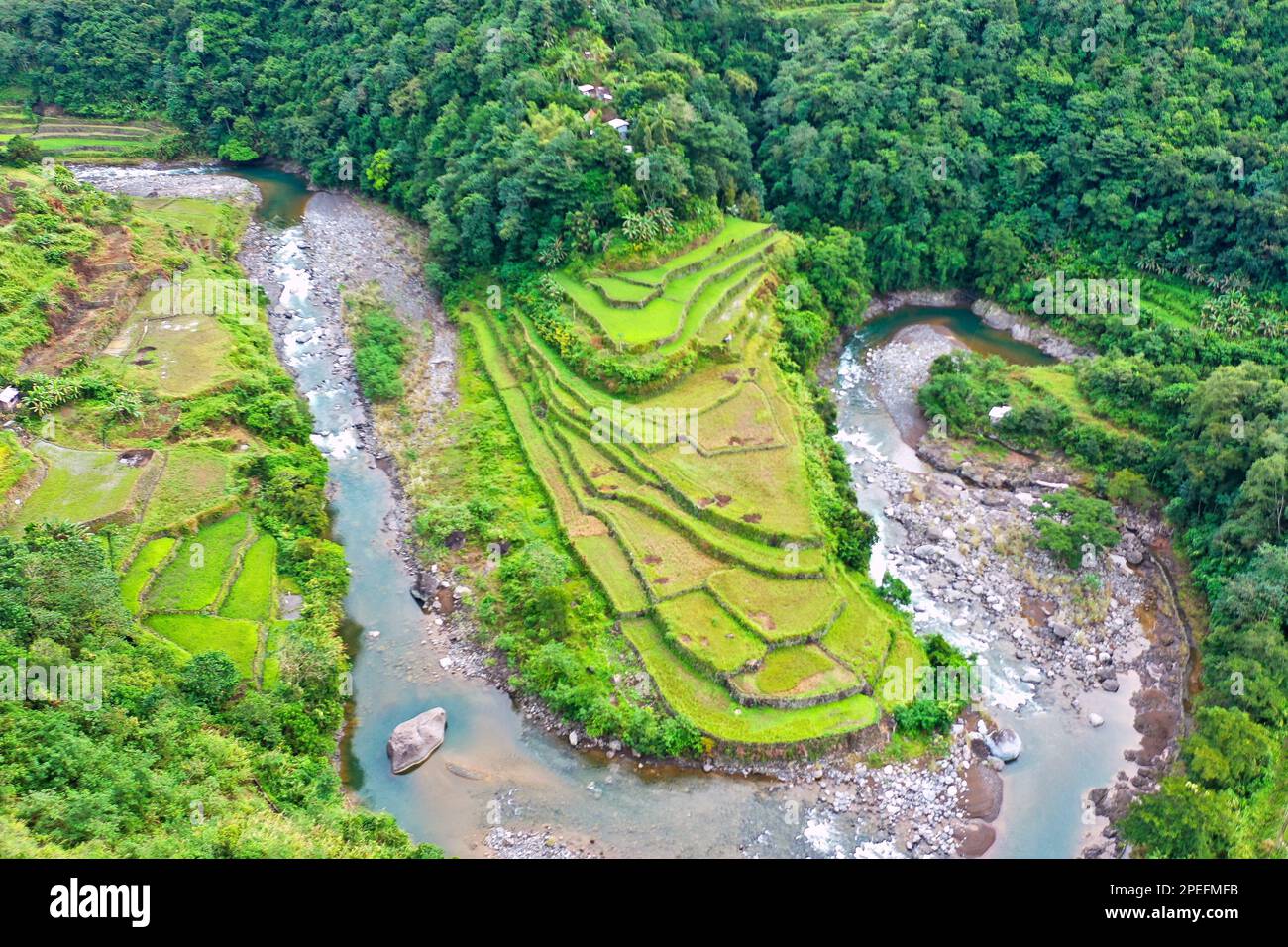 Bird's eye drone shot over the rice terraces of Banaue in the ...