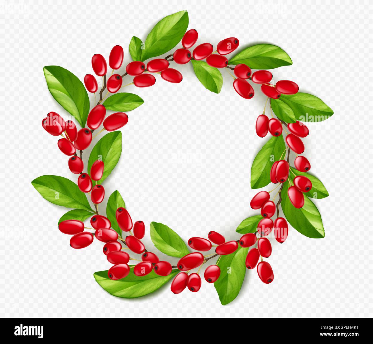 Realistic barberry wreath isolated on transparent background. Vector ...
