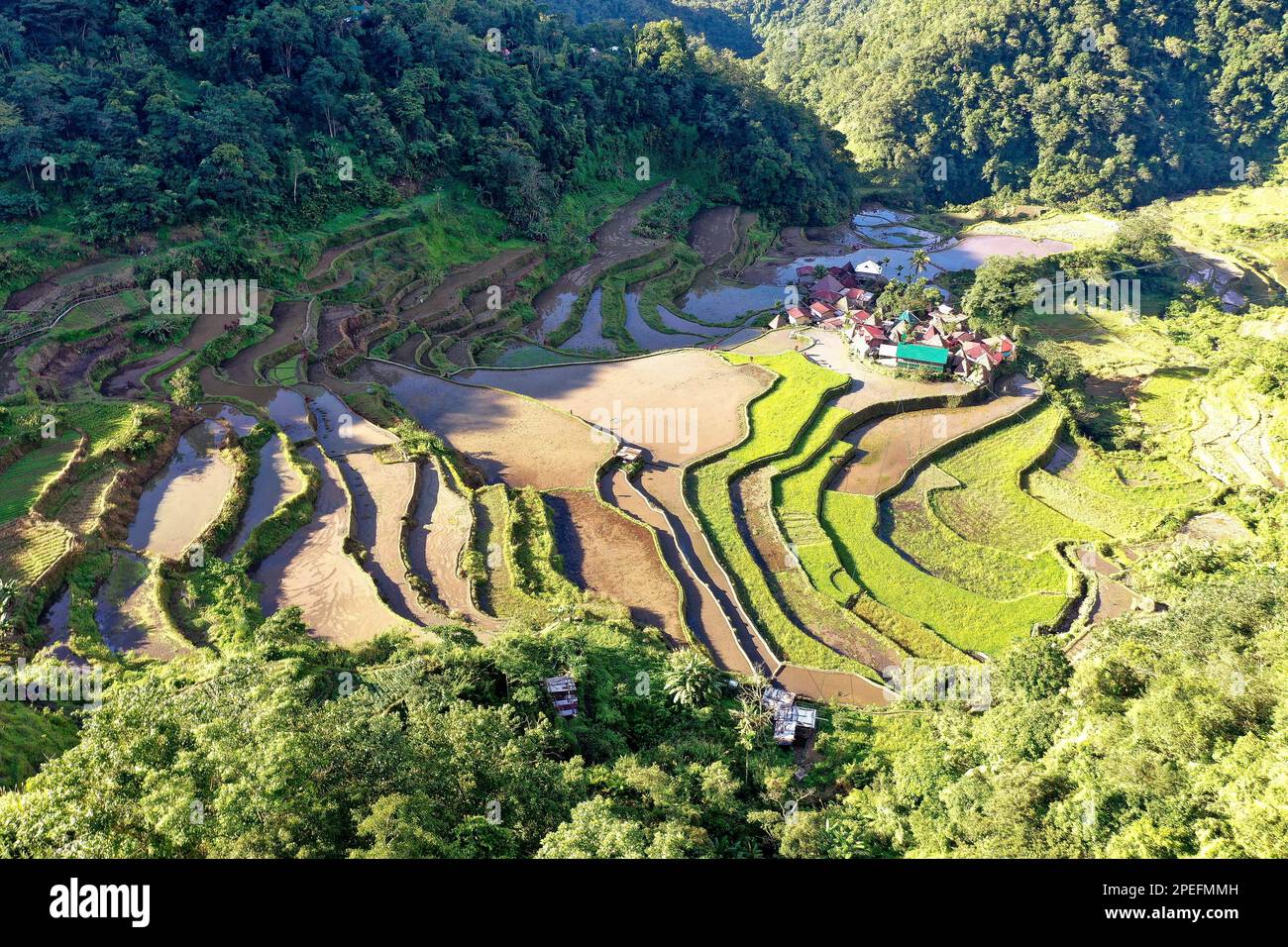 Panoramic view over the rice terraces of Banaue in the Philippines ...