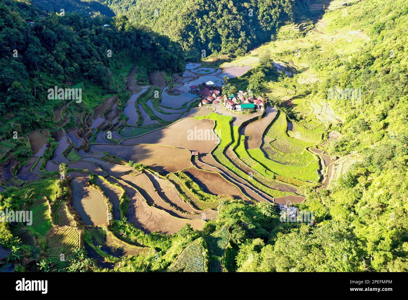 Panoramic view over the rice terraces of Banaue in the Philippines ...