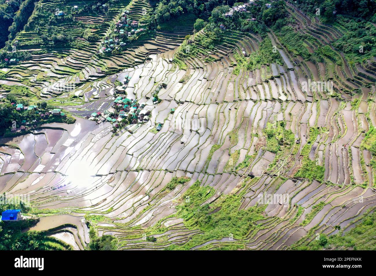 Bird's eye drone shot over the rice terraces of Banaue in the ...