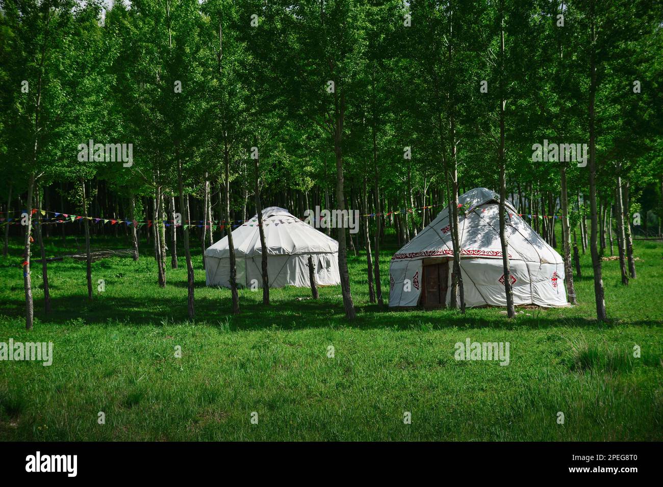 A Kazakh felt house, also known as a yurt, is a traditional nomadic ...